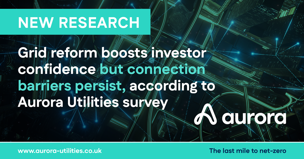 Grid reform boosts investor confidence but connection barriers persist ...